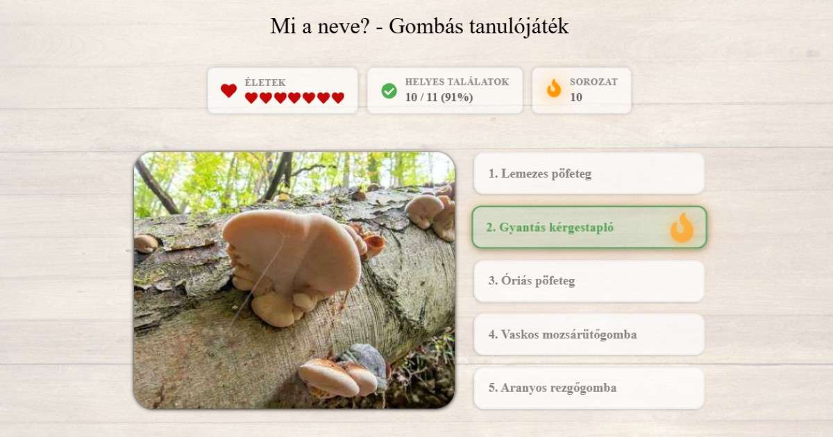 Mi a neve? - Gombás kvíz